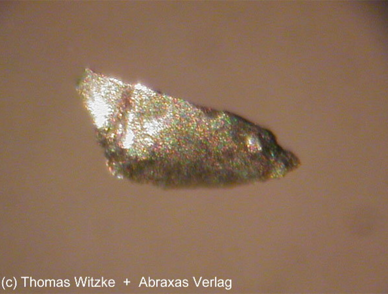 Native Chromium: Mineral information, data and localities.