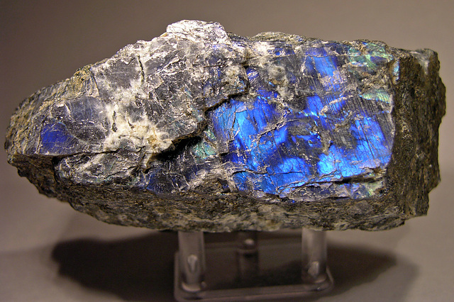 Anorthite (Var: Labradorite)