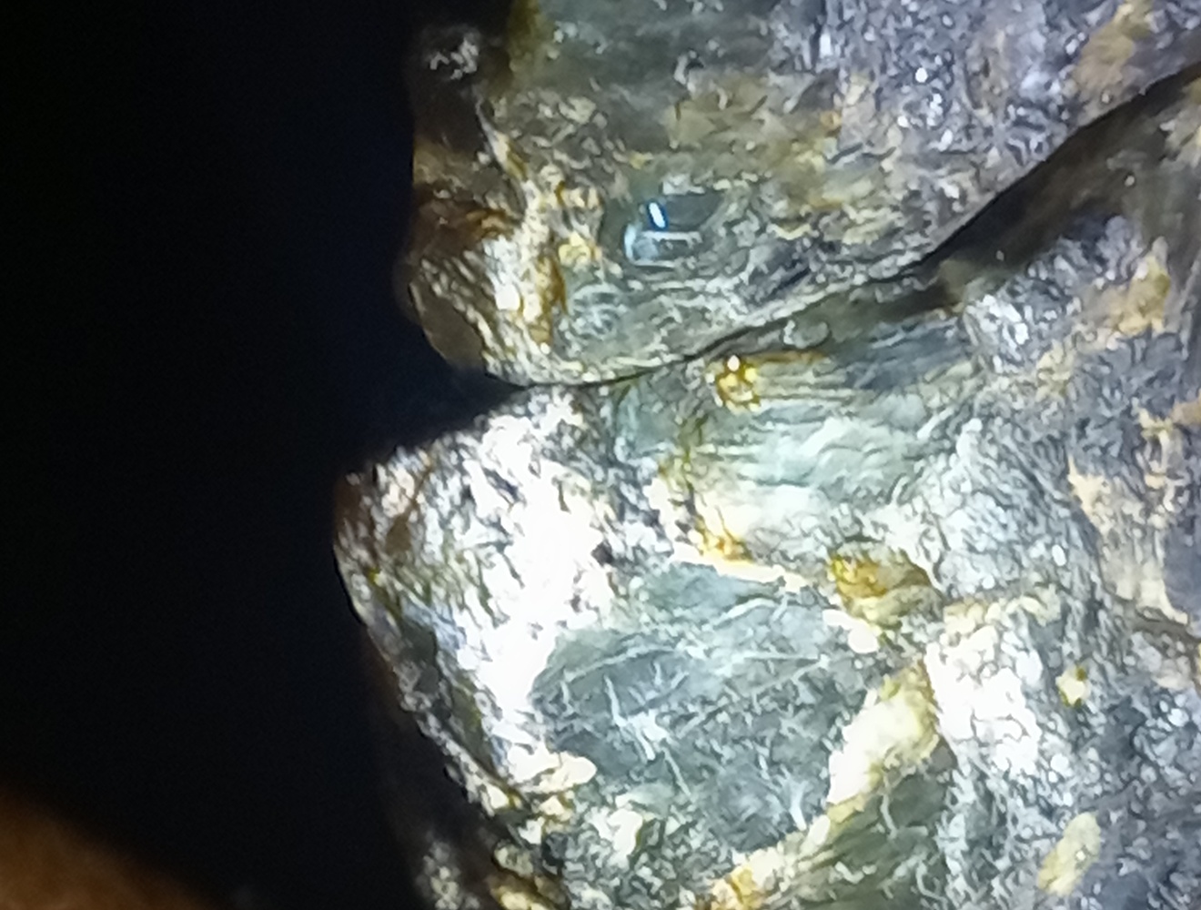 Identity Help : La Spezia trovata personalmente da me ai piedi del ...