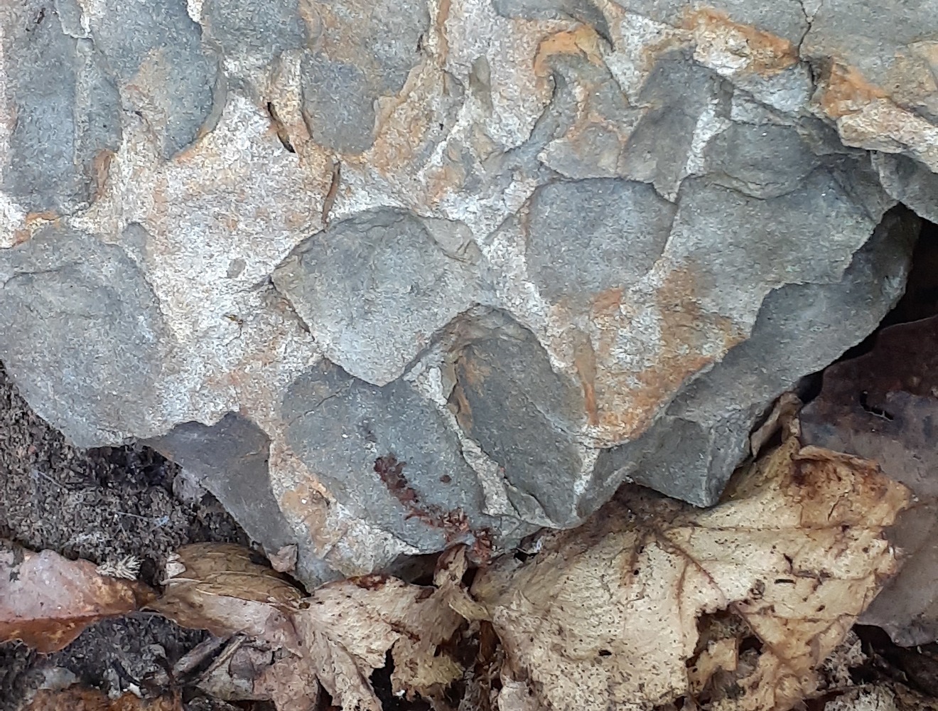 Identity Help : Need help identifying. Is it silver ore