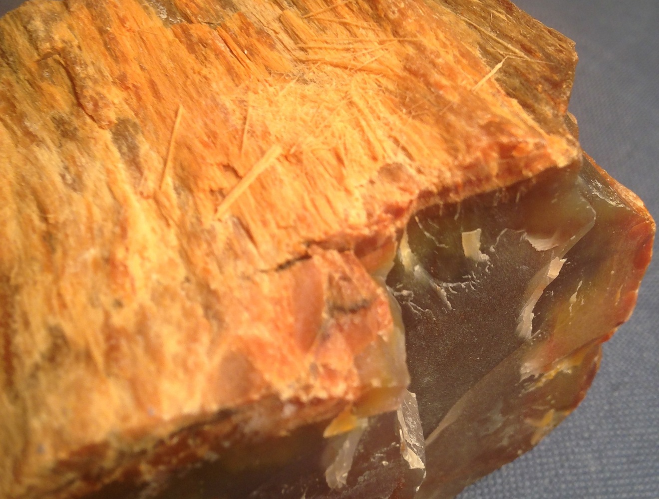 Identity Help : Fibers on Petrified Wood