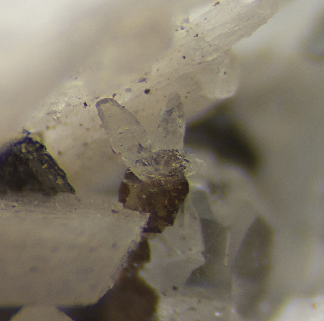 Merelani Hills, Lelatema Mountains, Simanjiro District, Manyara Region ...