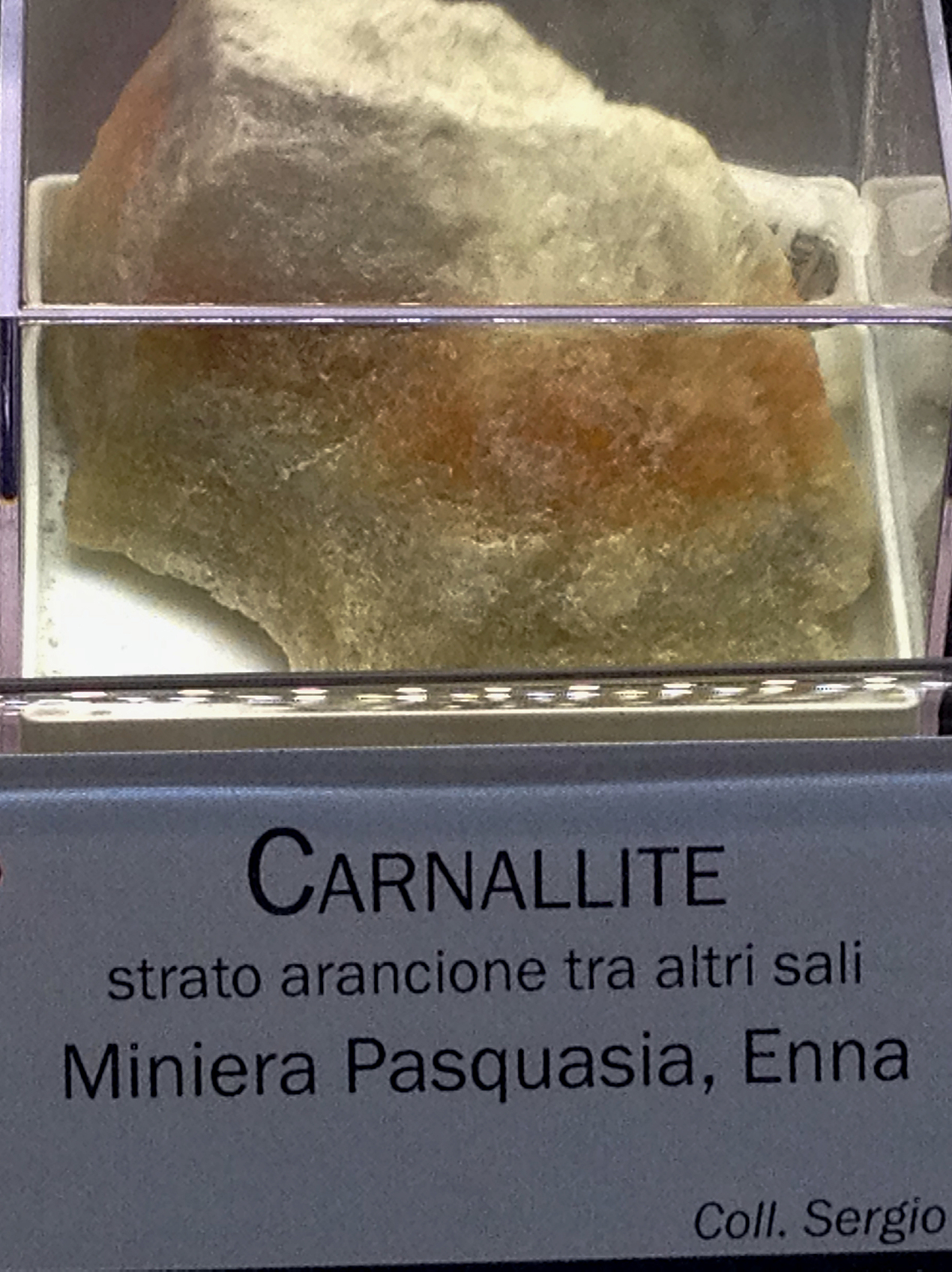 Carnallite
