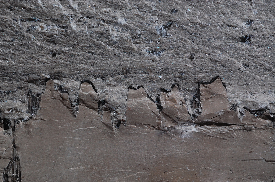 Definition of stylolite