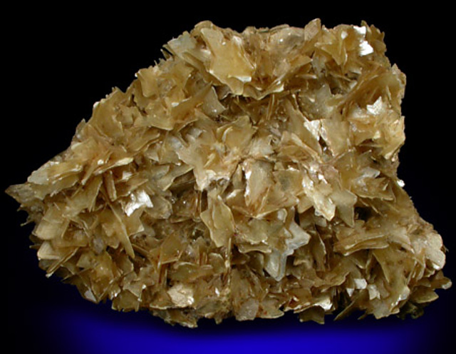 Muscovite