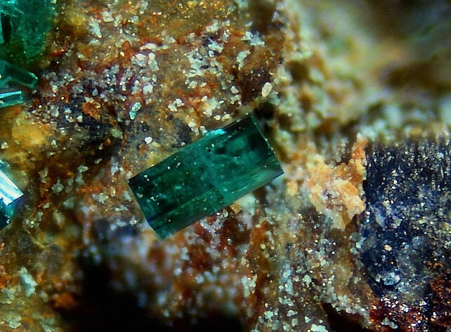 Champion Copper Mine, Aniseed Valley, Nelson Region, New Zealand