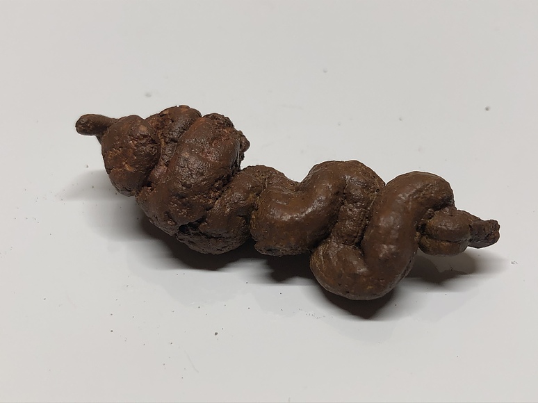 Coprolite: Mineral information, data and localities.