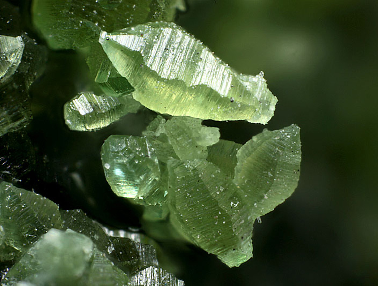 Lizardite: Mineral information, data and localities.