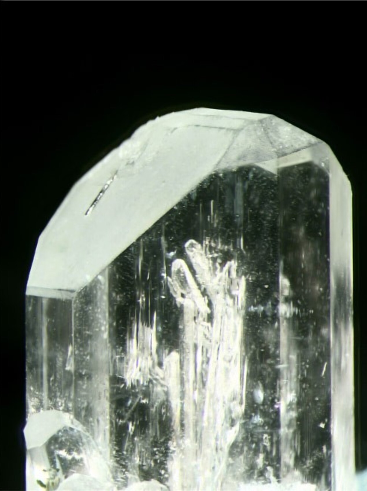 © Frank A. Imbriacco III