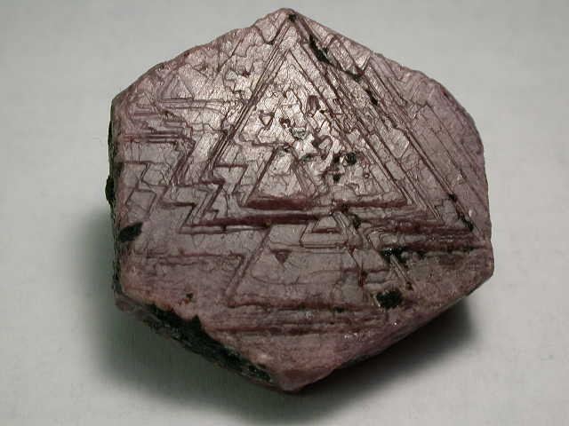 Mysore District, Karnataka, India