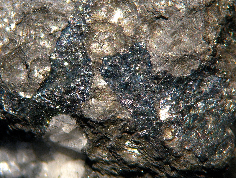 Lautite