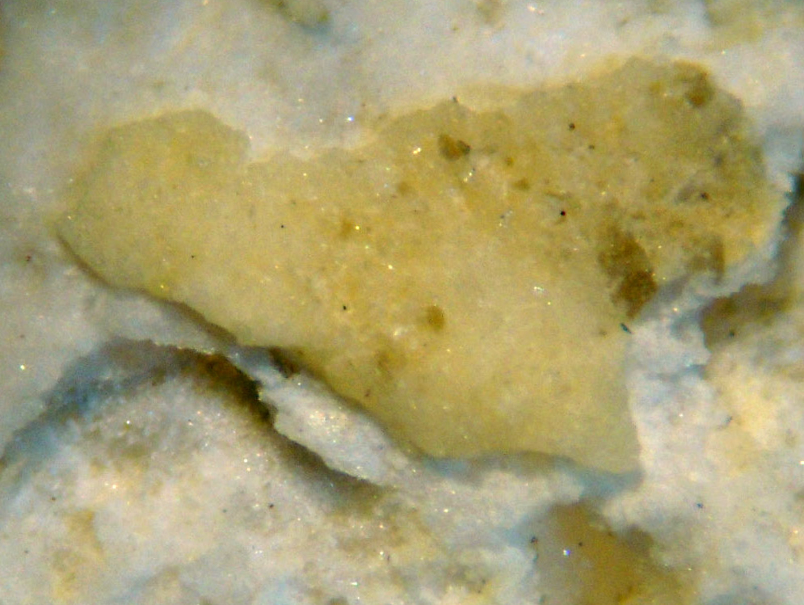 Monetite, Newberyite