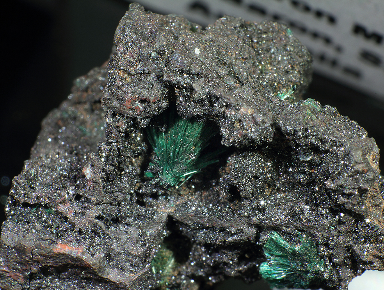Photos : Magnetite - Iron Baron Mine, Iron Baron, Middleback Range ...