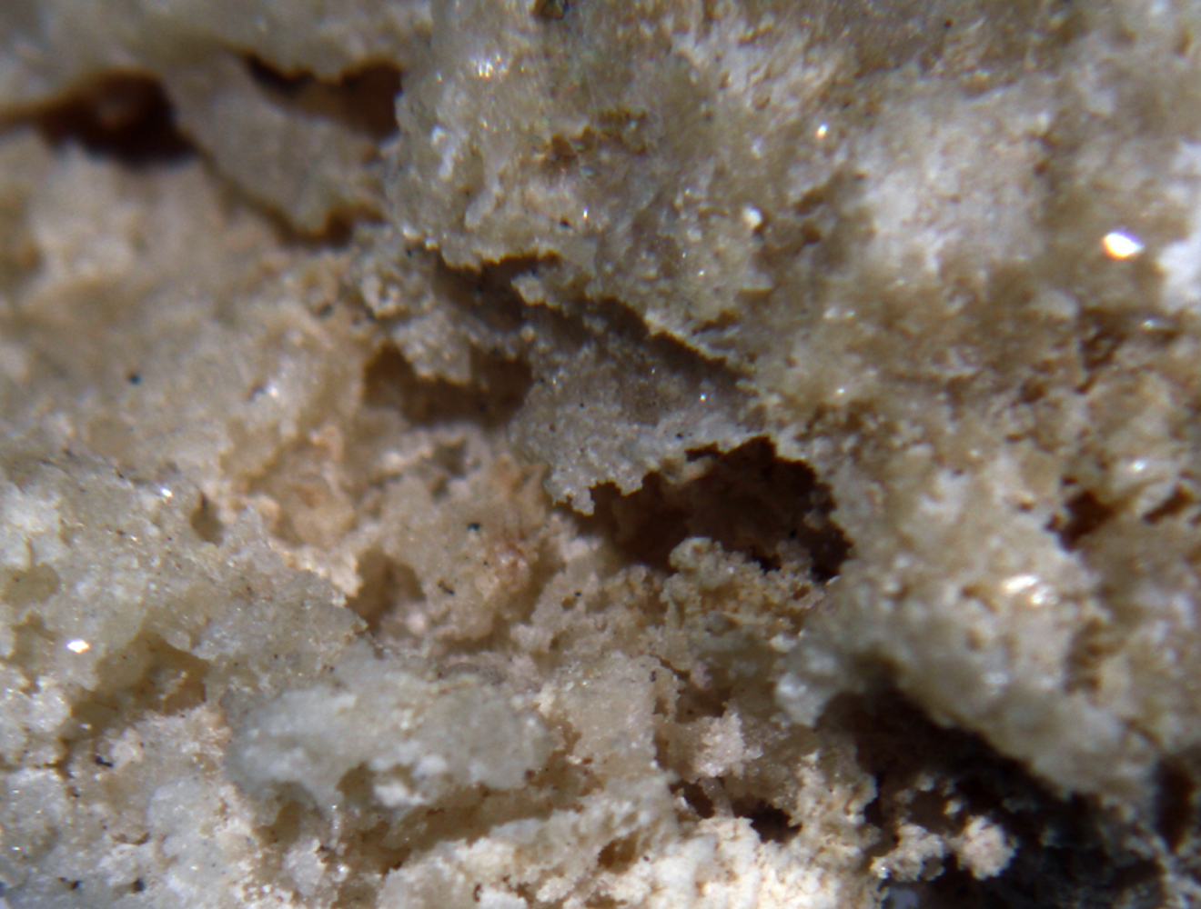 Monetite: Mineral information, data and localities.