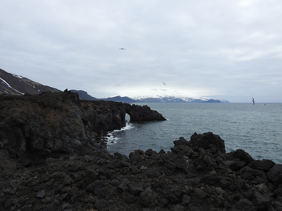 Beerenberg volcano, Jan Mayen Island, Norway