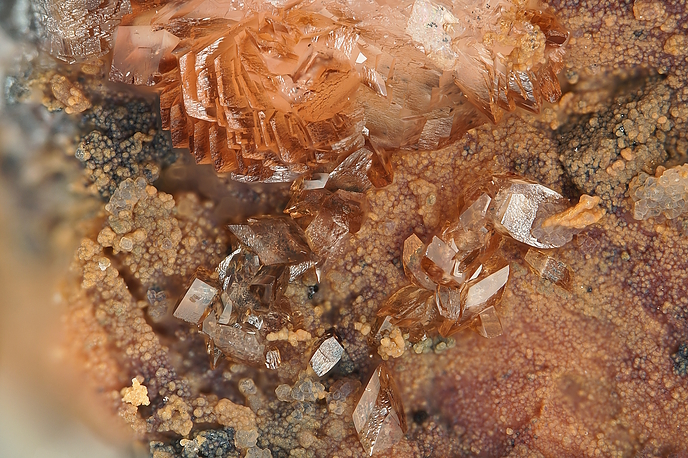 Sarkinite: Mineral information, data and localities.