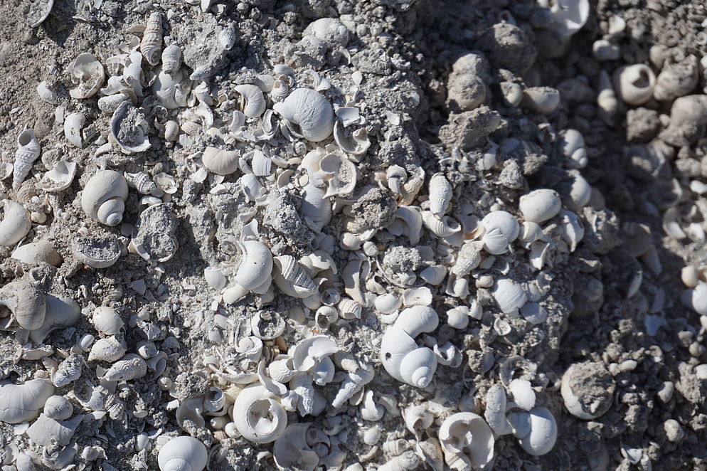 Marl: Mineral information, data and localities.