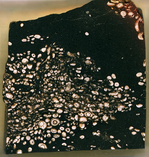 07516440017362668419867.jpg?cachekick=1