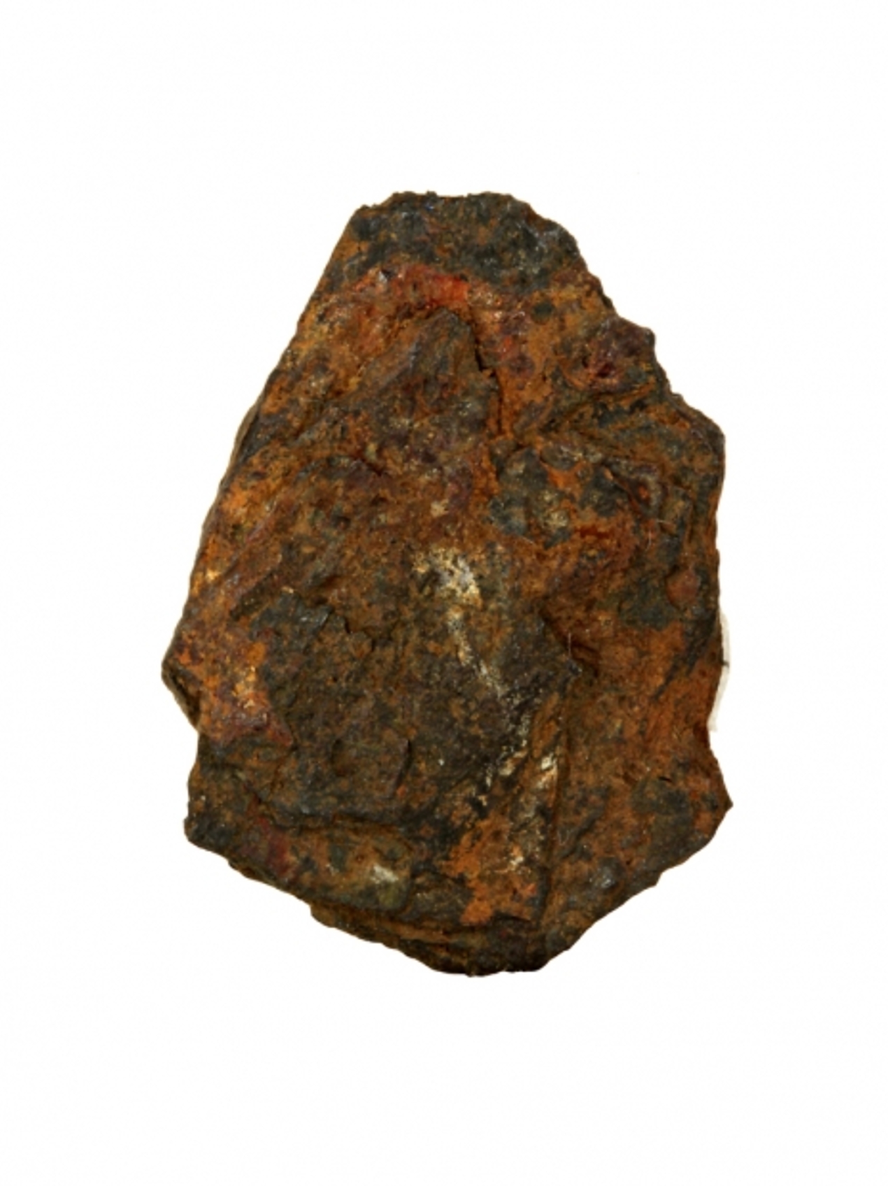 Iron (Var: Kamacite), Taenite, Forsterite, Troilite, Magnesiochromite