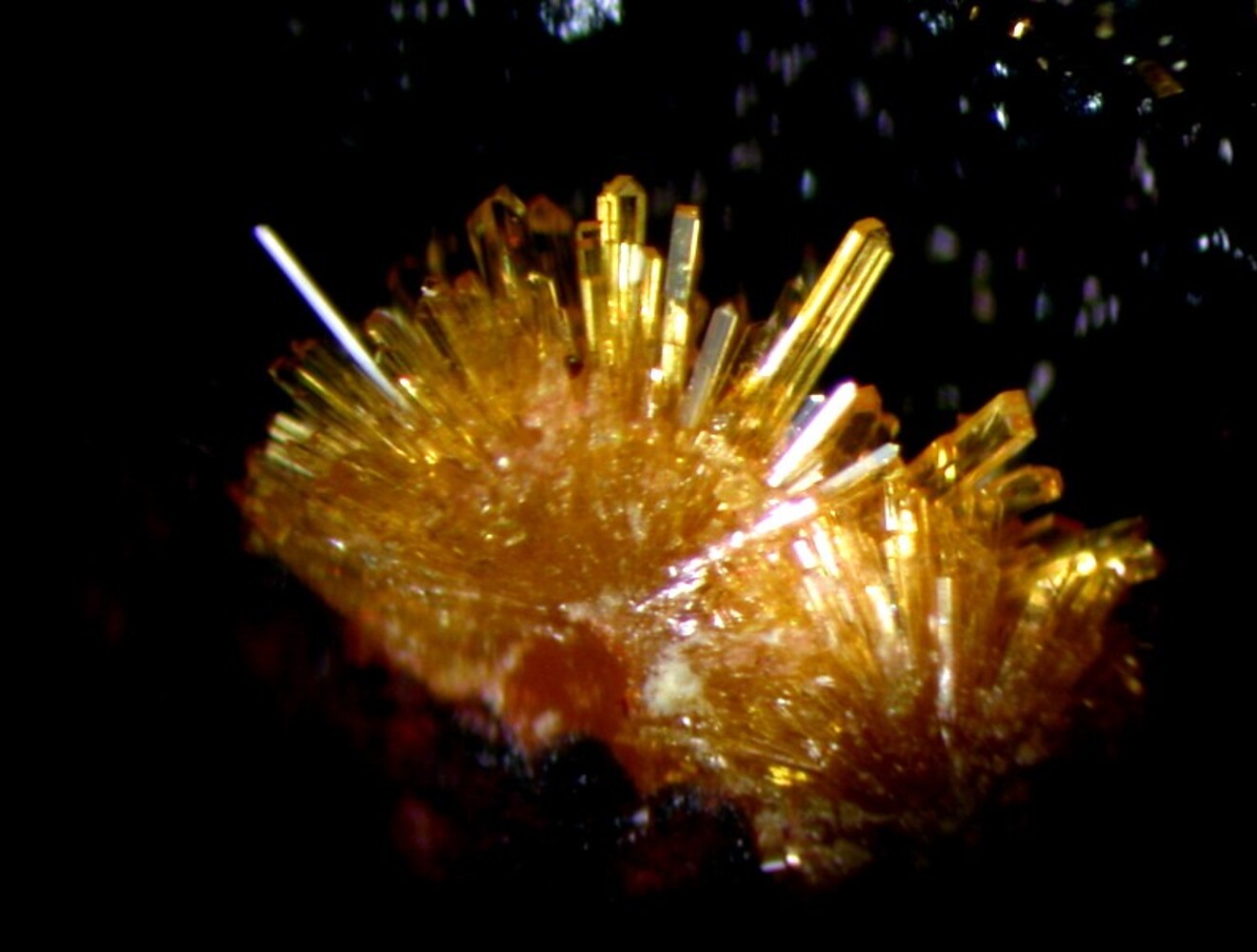 Uranophane: Mineral information, data and localities.