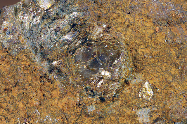 Roscoelite, Muscovite (Var: Illite), Muscovite (Var: Sericite)