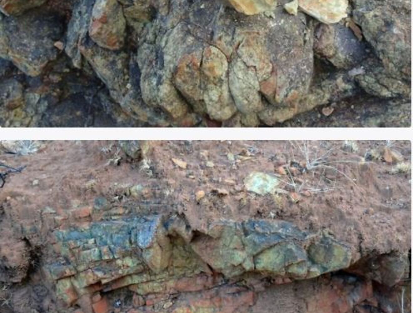 Identity Help : Greenish Rock, Darling Range, Western Australia