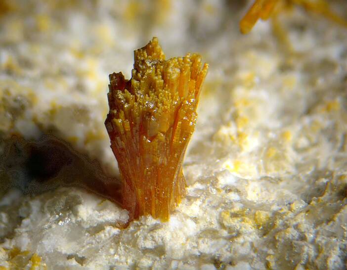 Cerbat Mountains, Mohave County, Arizona, USA