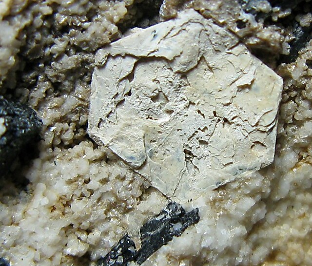 Powellite