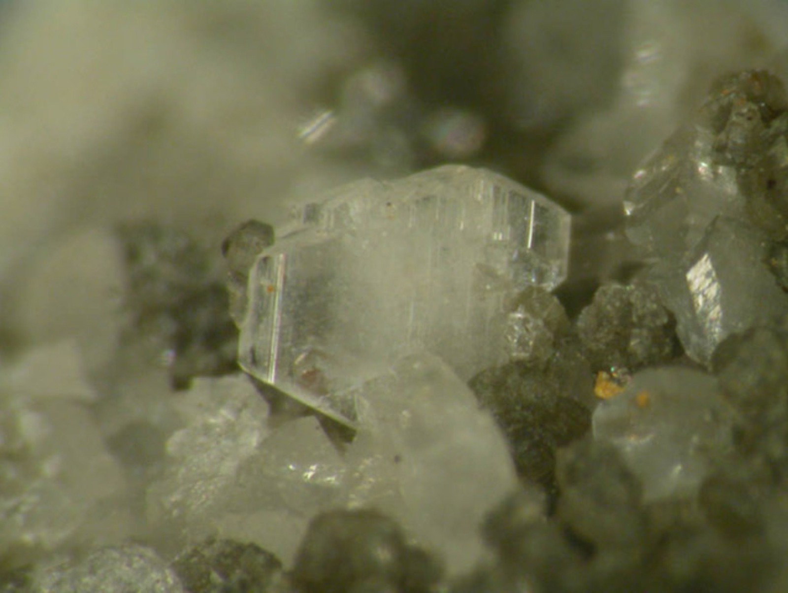 albite hendre quarry ceiriog ucha wrexham wales uk field of view 3mm ...