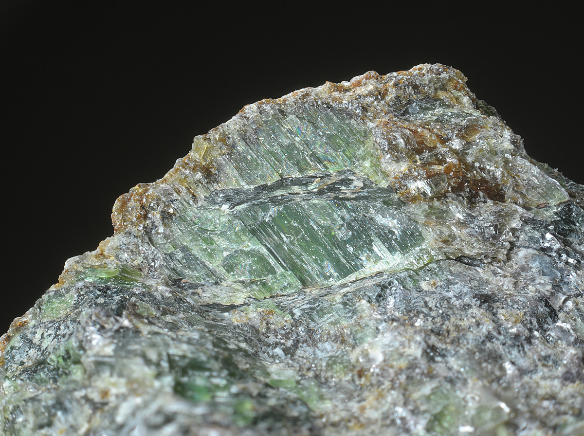 Actinolite (Var: Smaragdite)