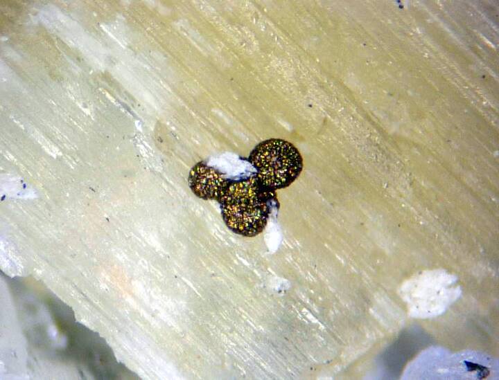 Francon quarry, Montréal, Québec, Canada