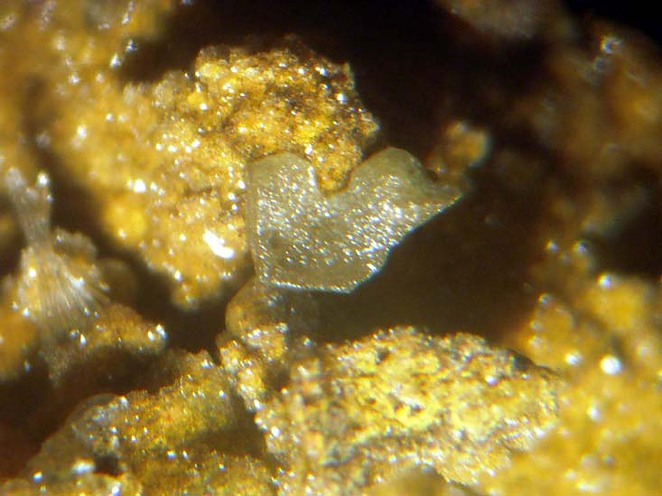 Blue Bell Mine, Zzyzx, Soda Mountains, Silver Lake Mining District, San ...