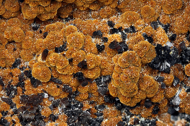 Union Carbide Mine, Wilson Springs (Potash Sulfur Springs), Garland ...