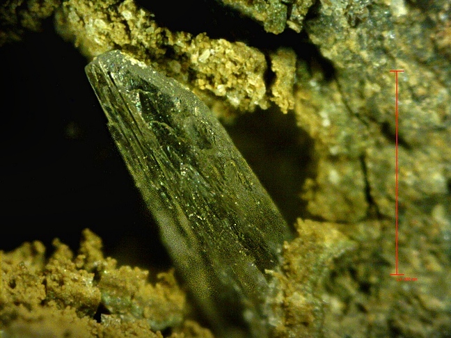 Boron, Kern County, California, USA