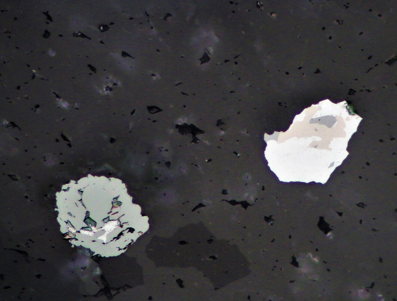 Trogtalite: Mineral information, data and localities.