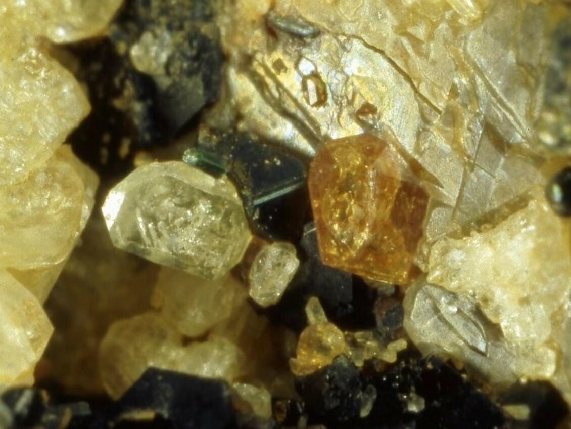 © Stephan Wolfsried 2/2008