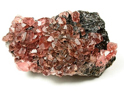 06541730017381880542095.jpg?cachekick=1