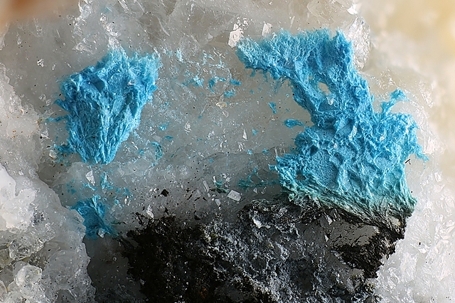 Spertiniite, Tenorite