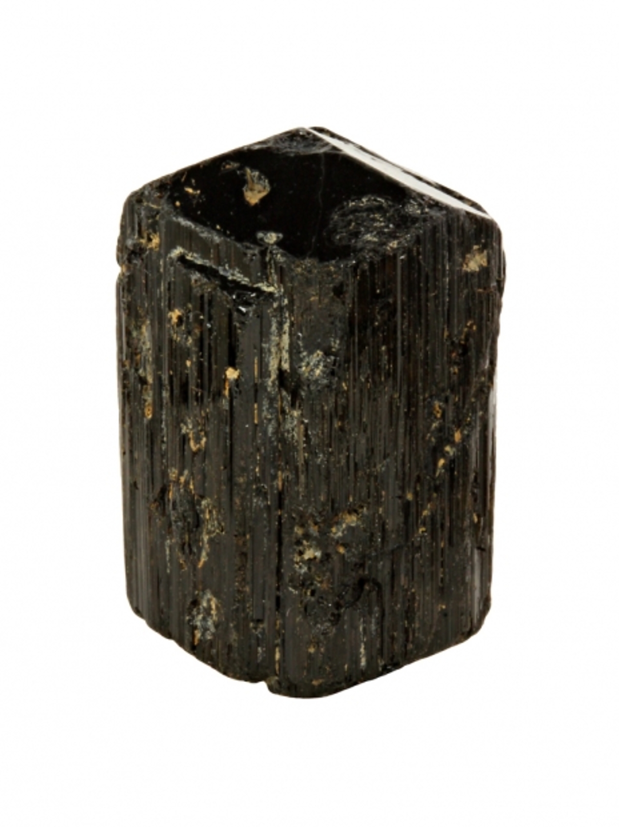 Power's Farm, Pierrepont, St. Lawrence County, New York, USA