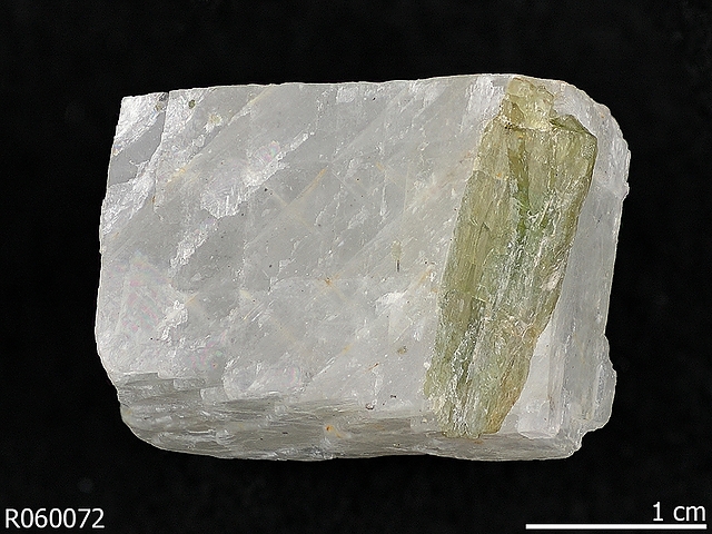 Pargasite