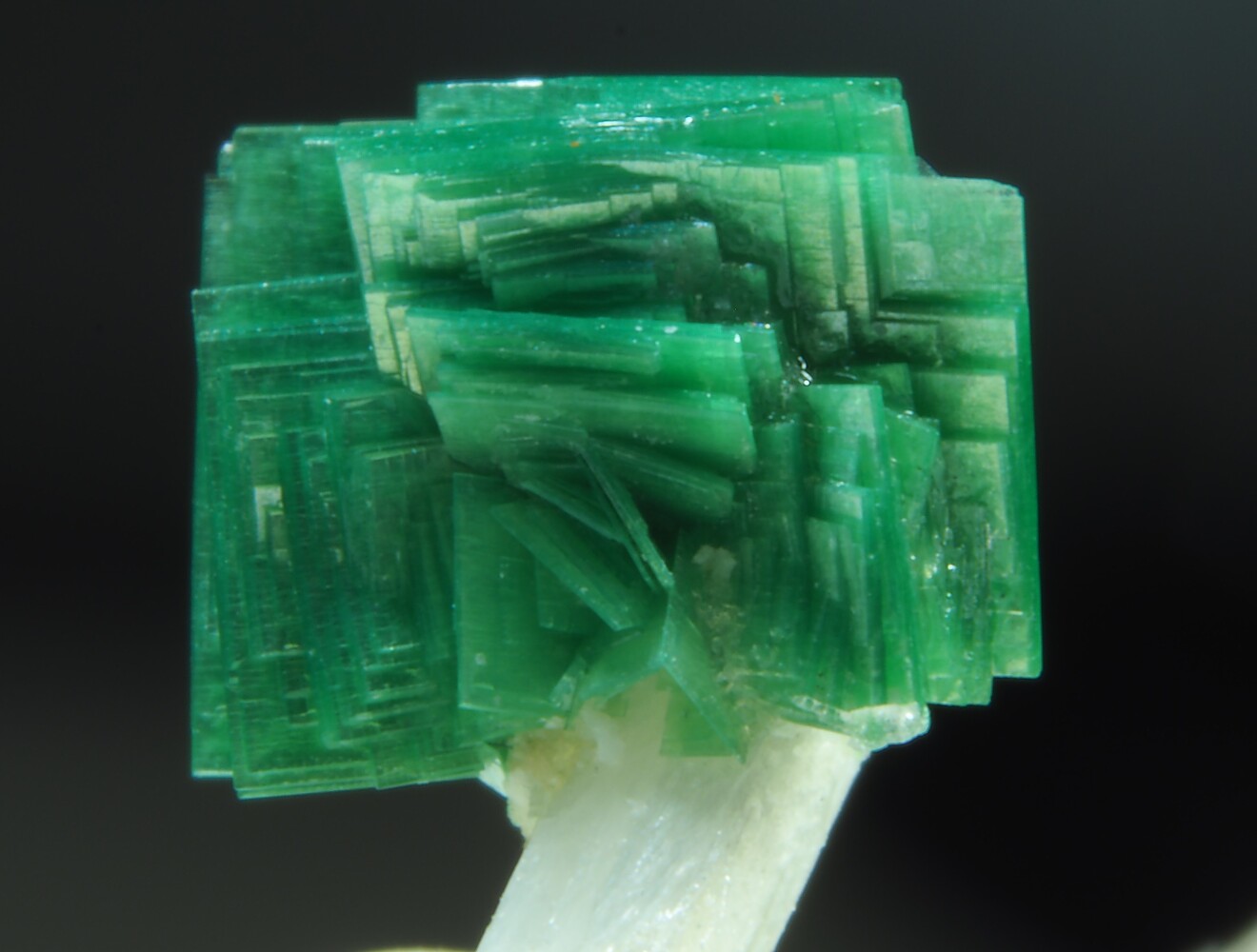 Metatorbernite: Mineral information, data and localities.