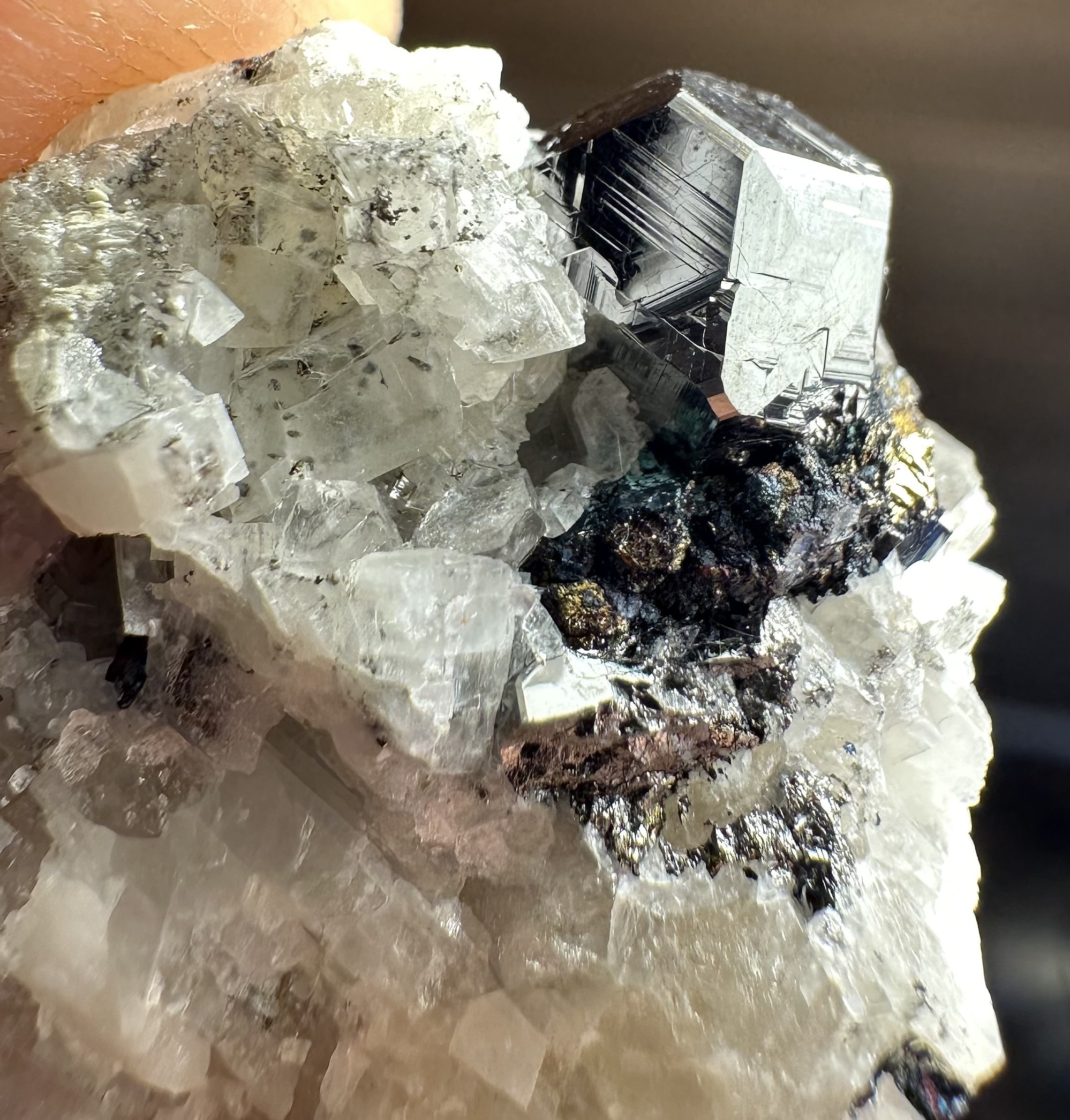 General : Show us your recent acquisitions - volume 17