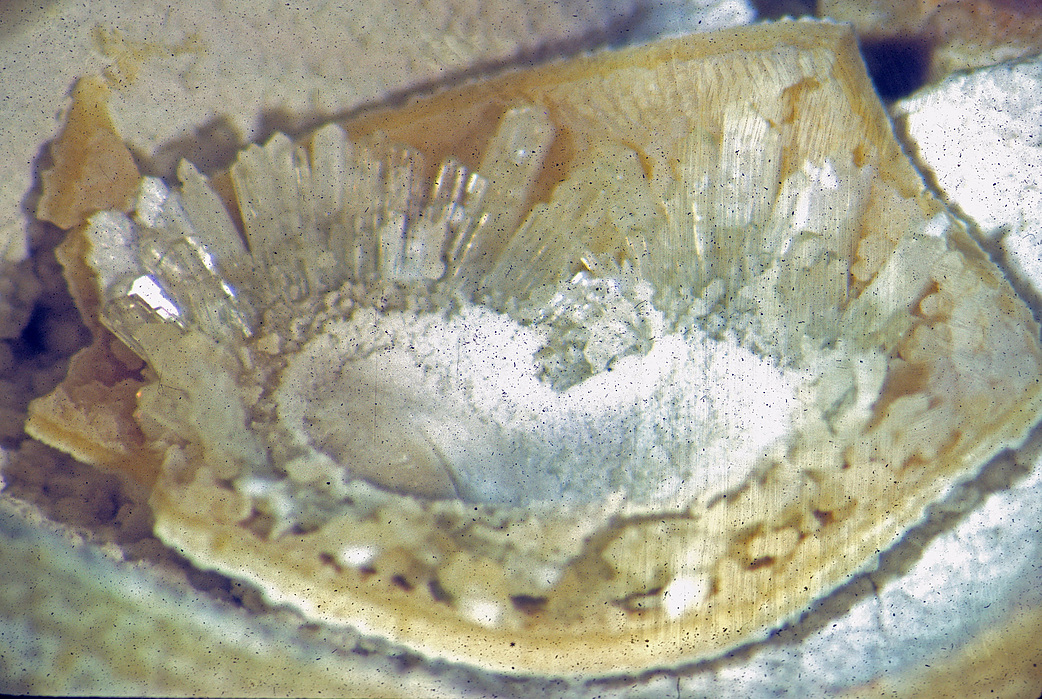 Utah County, Utah, USA