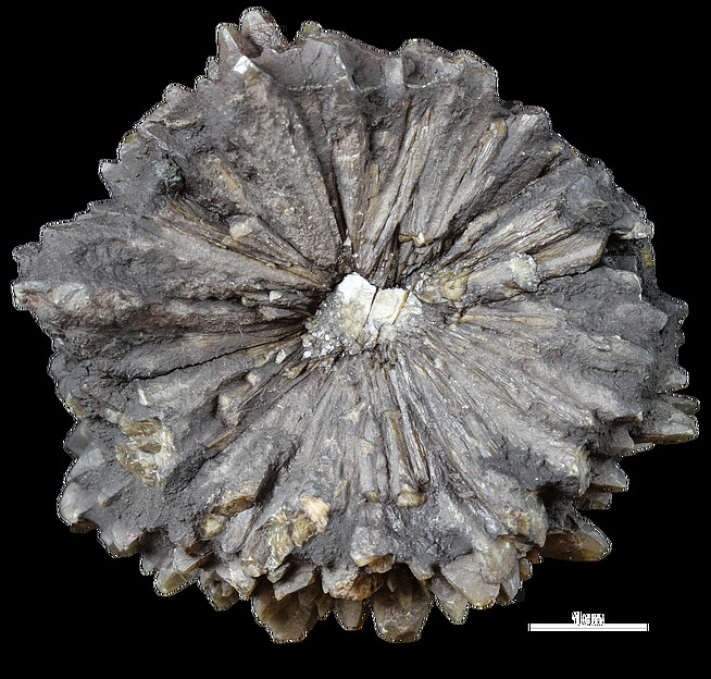Ikaite: Mineral information, data and localities.