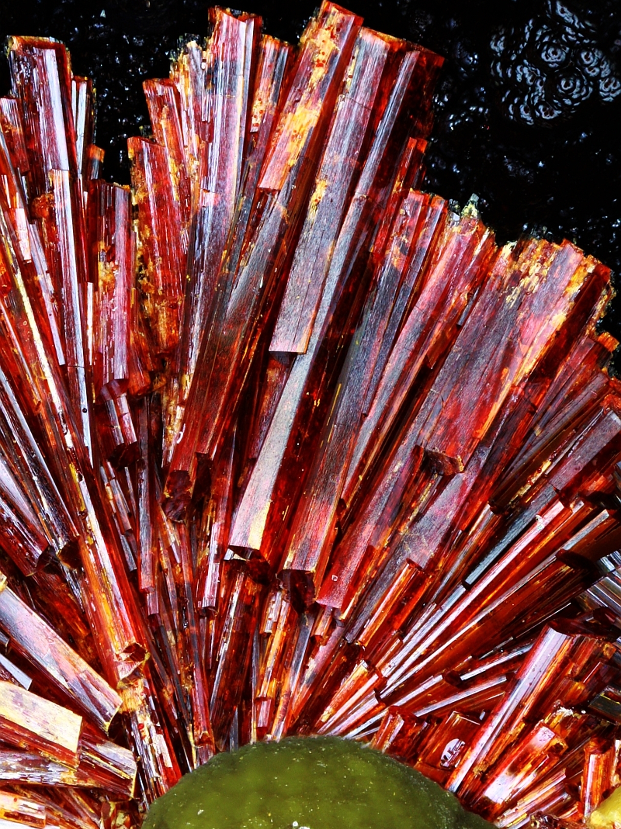 Nice cavity full of phosphates. FOV is 3mm. Self-collected. JBS ...