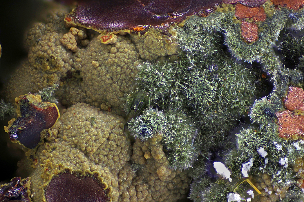 Hagendorf South Pegmatite, Hagendorf, Waidhaus, Neustadt an der ...