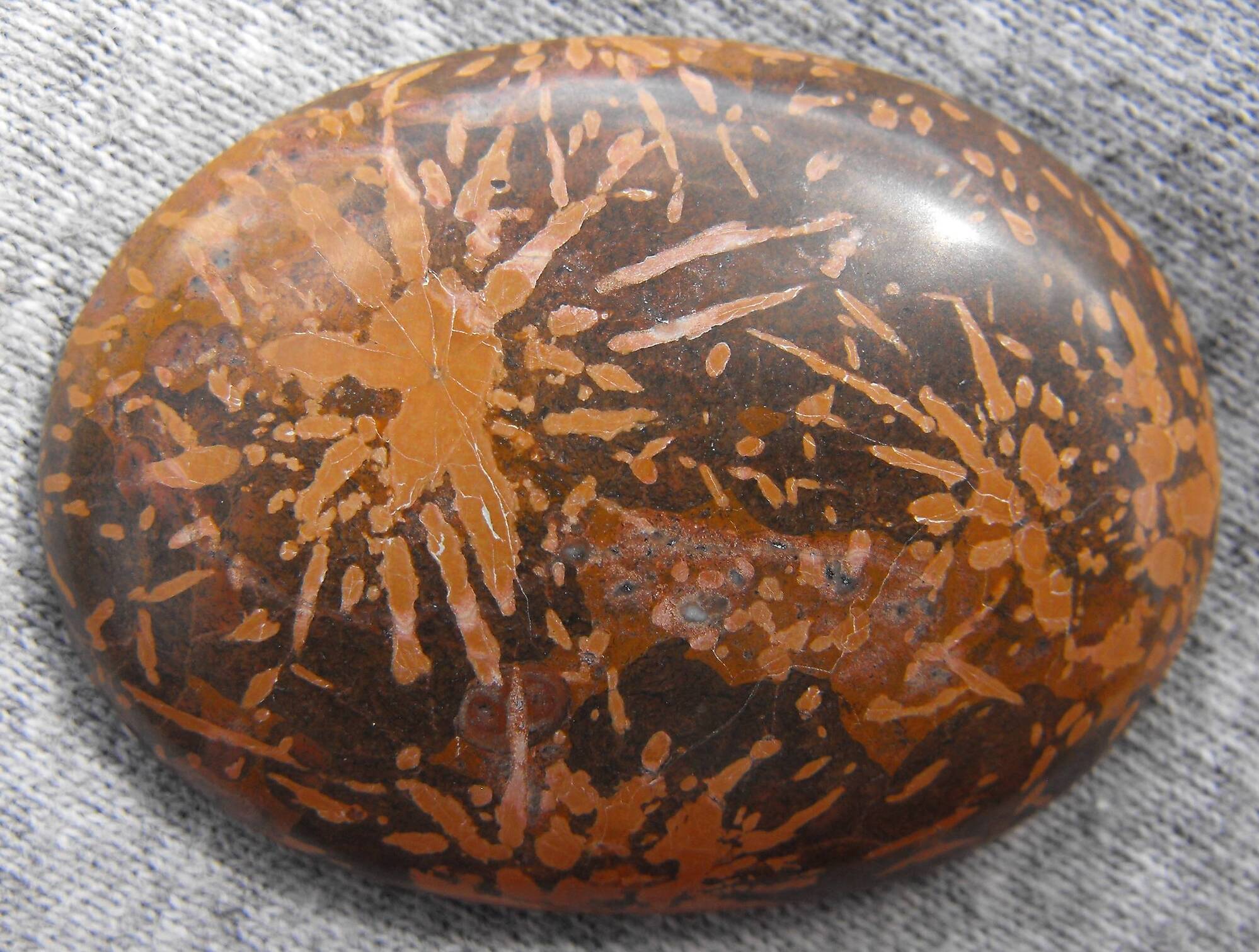 General : Starburst and or Spider Jasper