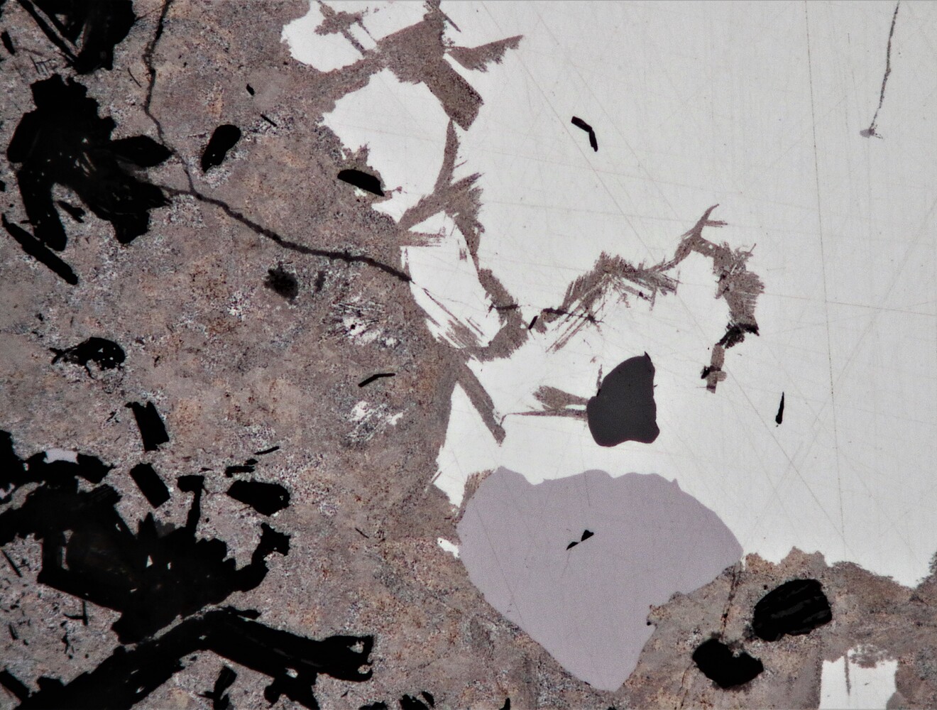 Plumbotellurite: Mineral information, data and localities.