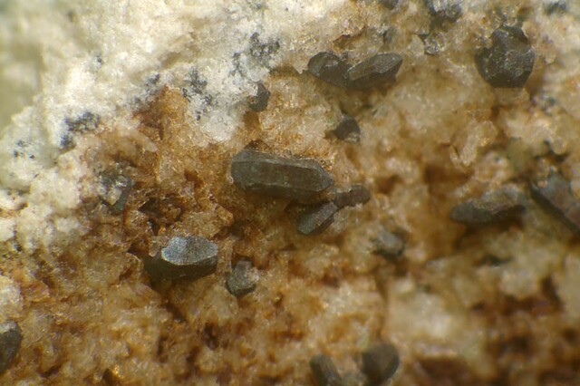 Fayalite, Tridymite