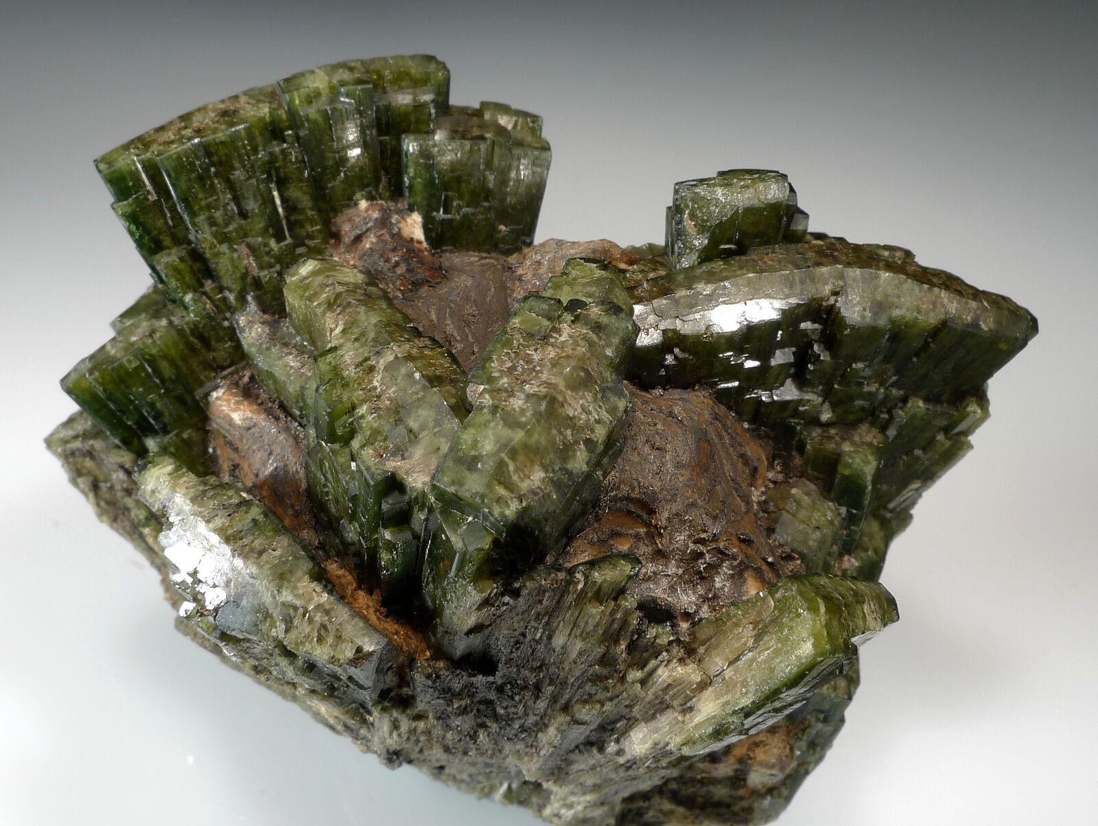 Hedenbergite, Ilmenite, Fluorapatite, Albite, Enstatite